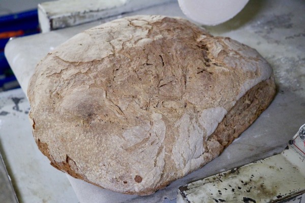Il pane di Cerchiara di Calabria